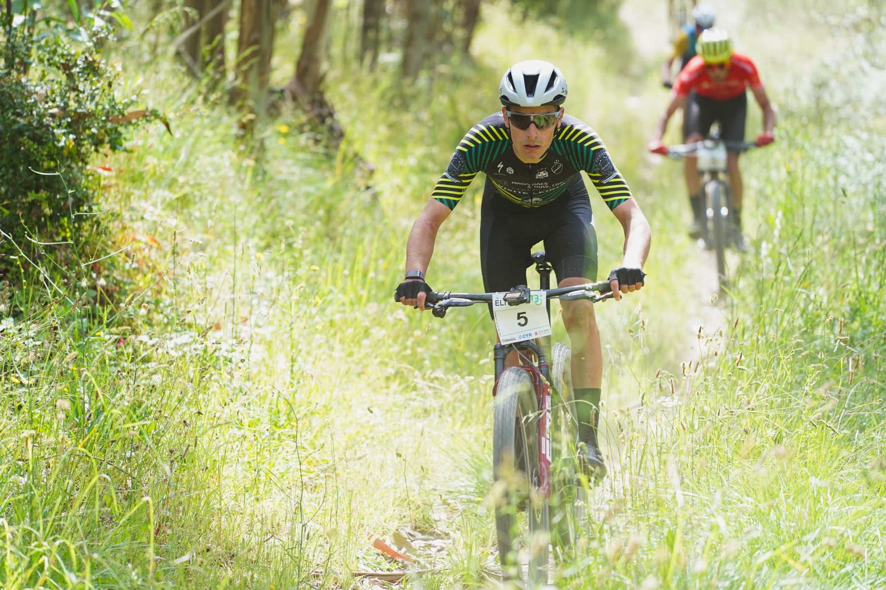 Federação Portuguesa de Ciclismo