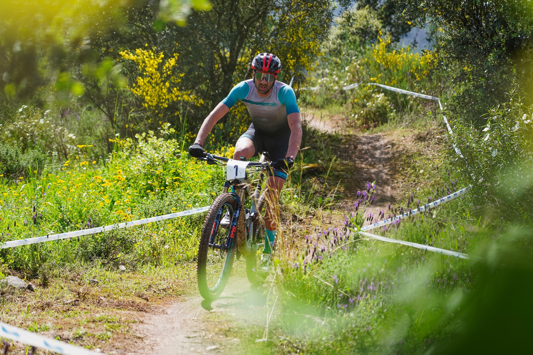 Federação Portuguesa de Ciclismo